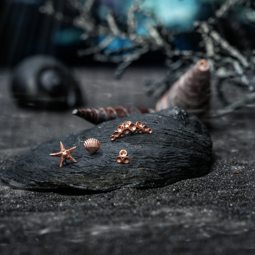 Starfish Pin | 14k Threadless Ends | TAWAPA