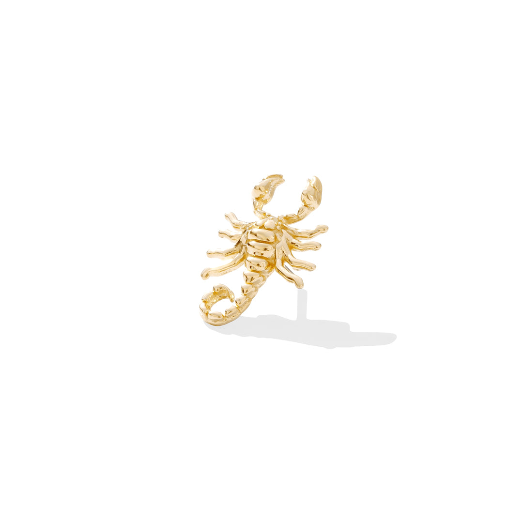 Scorpion Pin | 14k Threadless Ends | TAWAPA
